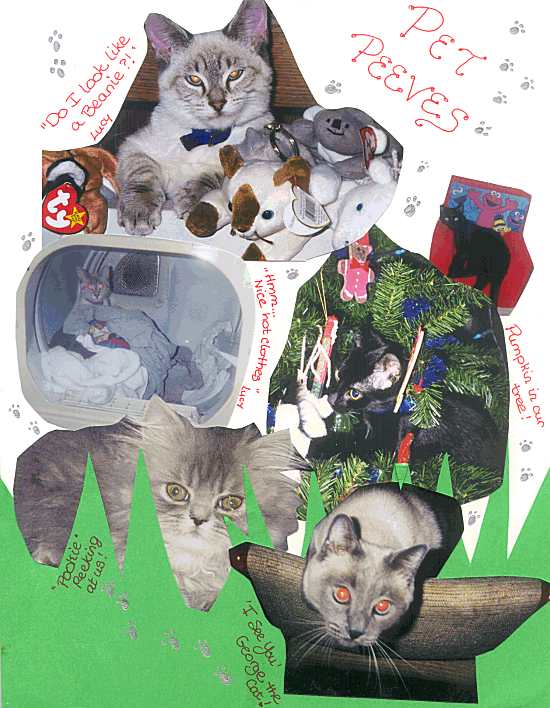 pets- scrapbook idea